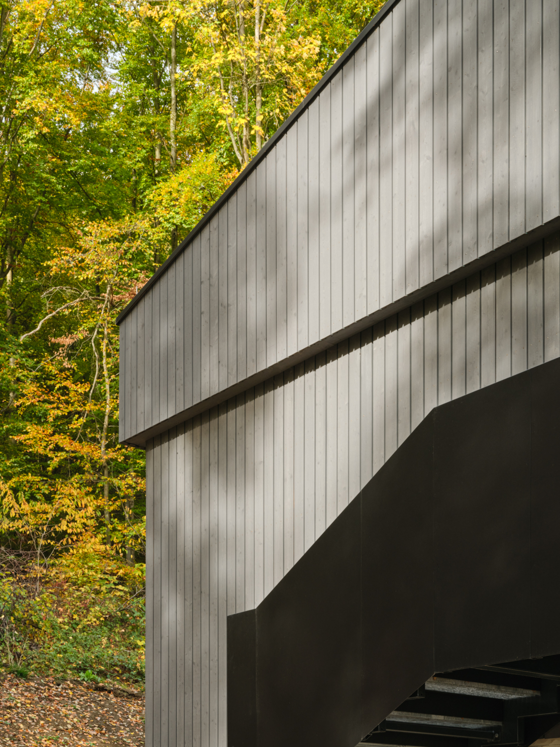 Verwaltungsgebäude der Landesbetriebsleitung Hessen Forst | Holz | Büro ...