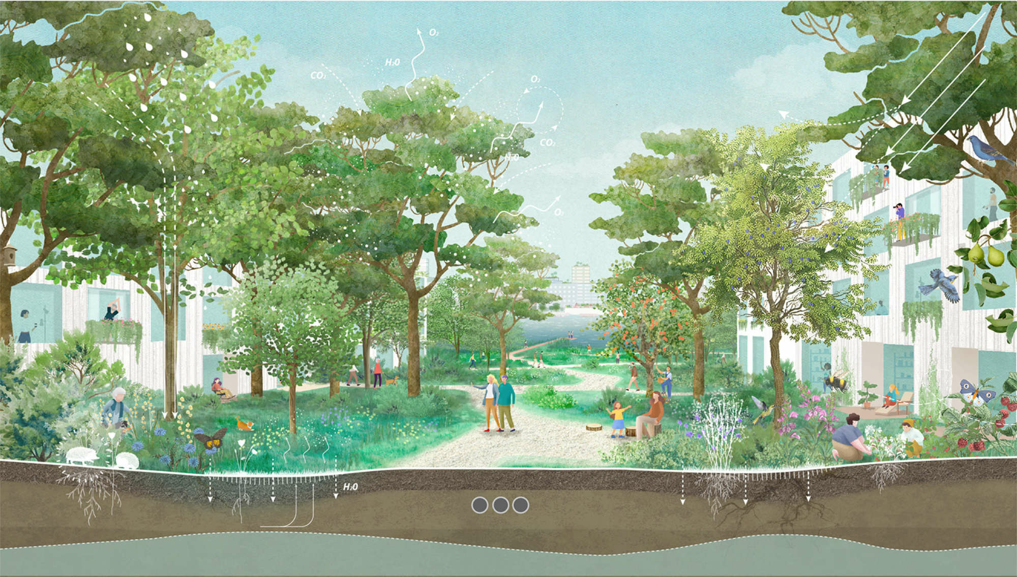 Stadtentwicklungsprojekt Nature Based City of Almere | Stadt- und ...