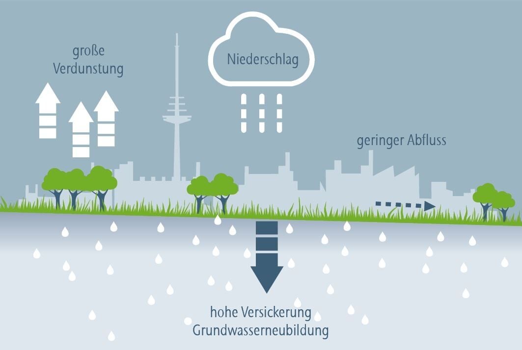 Schwammstadt | Wasserkreislauf | Regenwasserbewirtschaftung | BauNetz ...