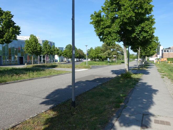 Rigolen | Stadt- und Dachbegrünung | Glossar | BauNetz Wissen