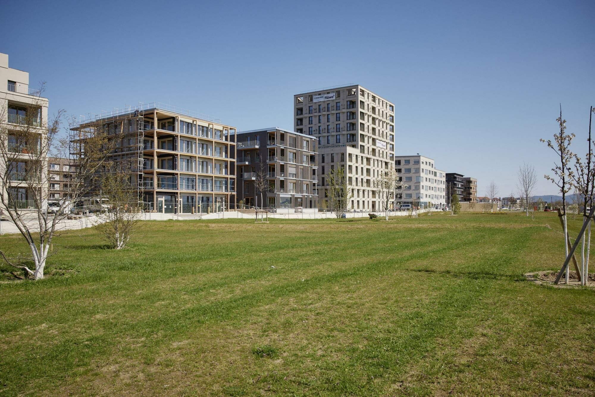 Piazza Spinelli: Übungsraum für die Stadt | Stadt- und Dachbegrünung ...