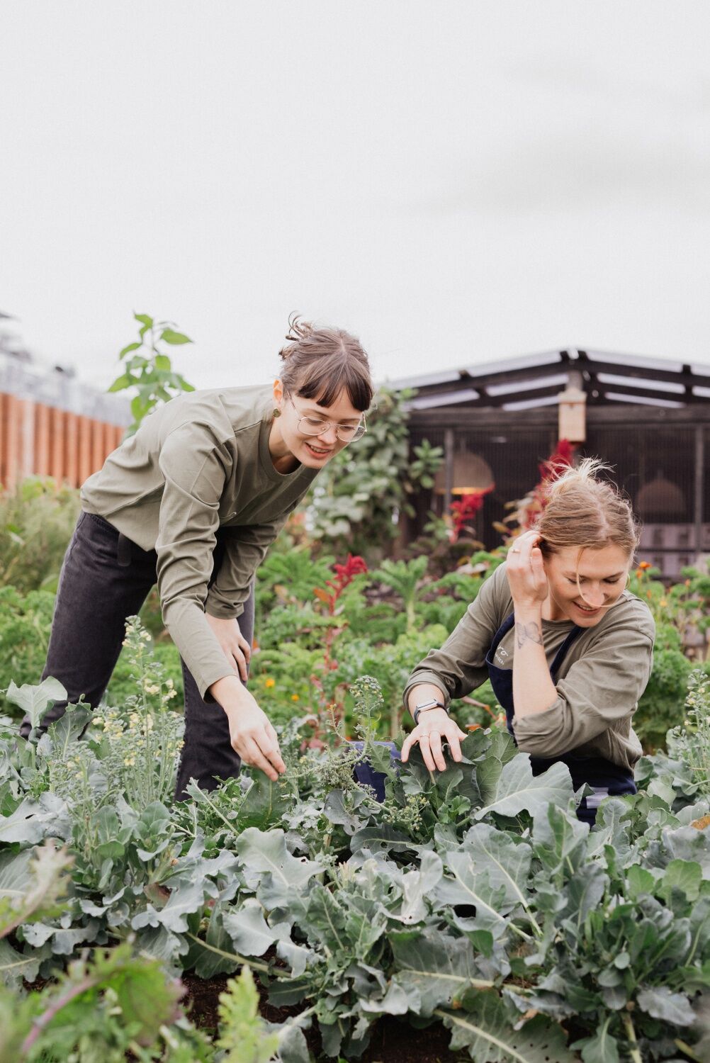 Urban Gardening – Teil 2 | Stadt- und Dachbegrünung | Urban Green ...