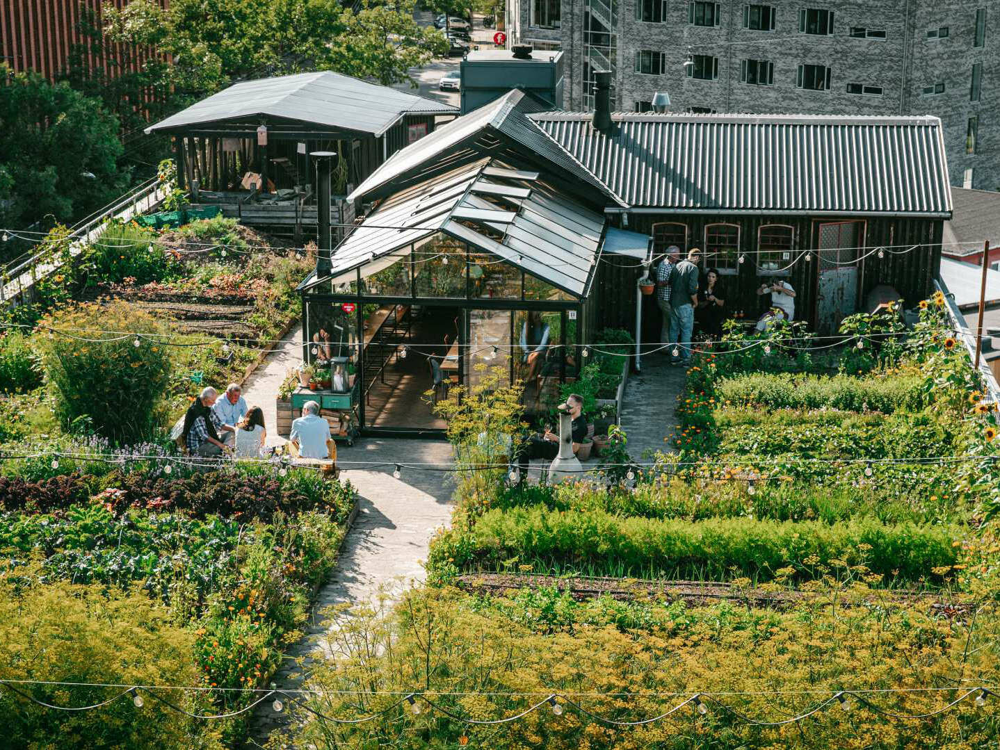 Ruderal- und Pioniervegetation | Stadt- und Dachbegrünung | Urban Green ...