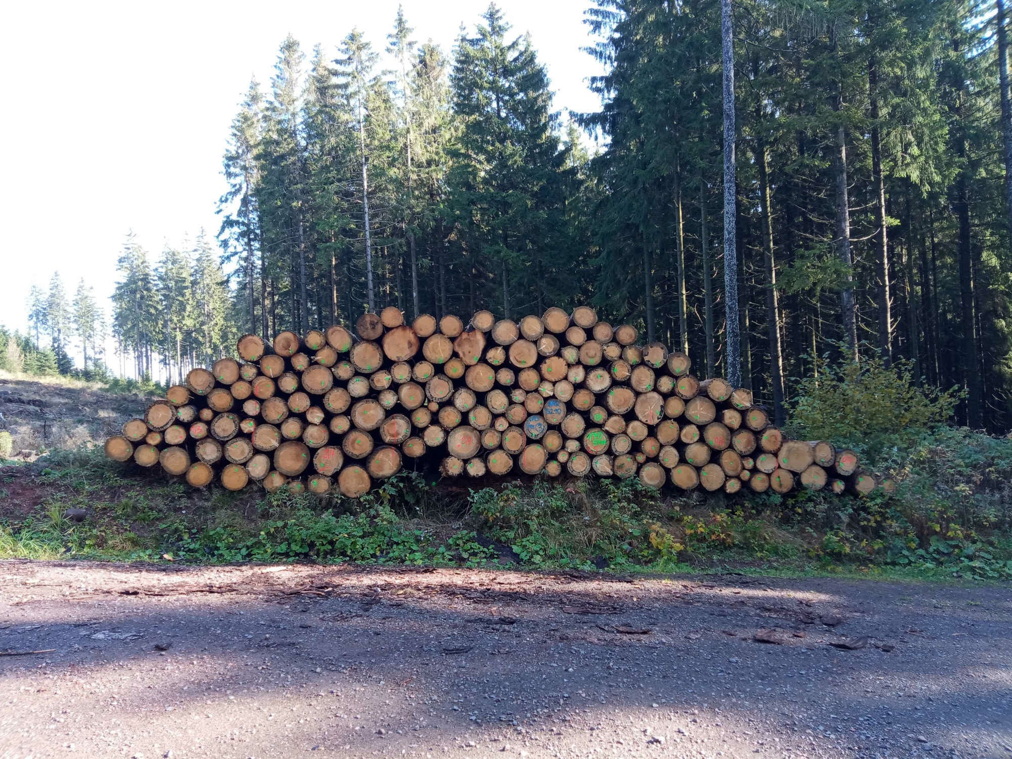 Kaskadennutzung | Holz | Glossar | BauNetz Wissen