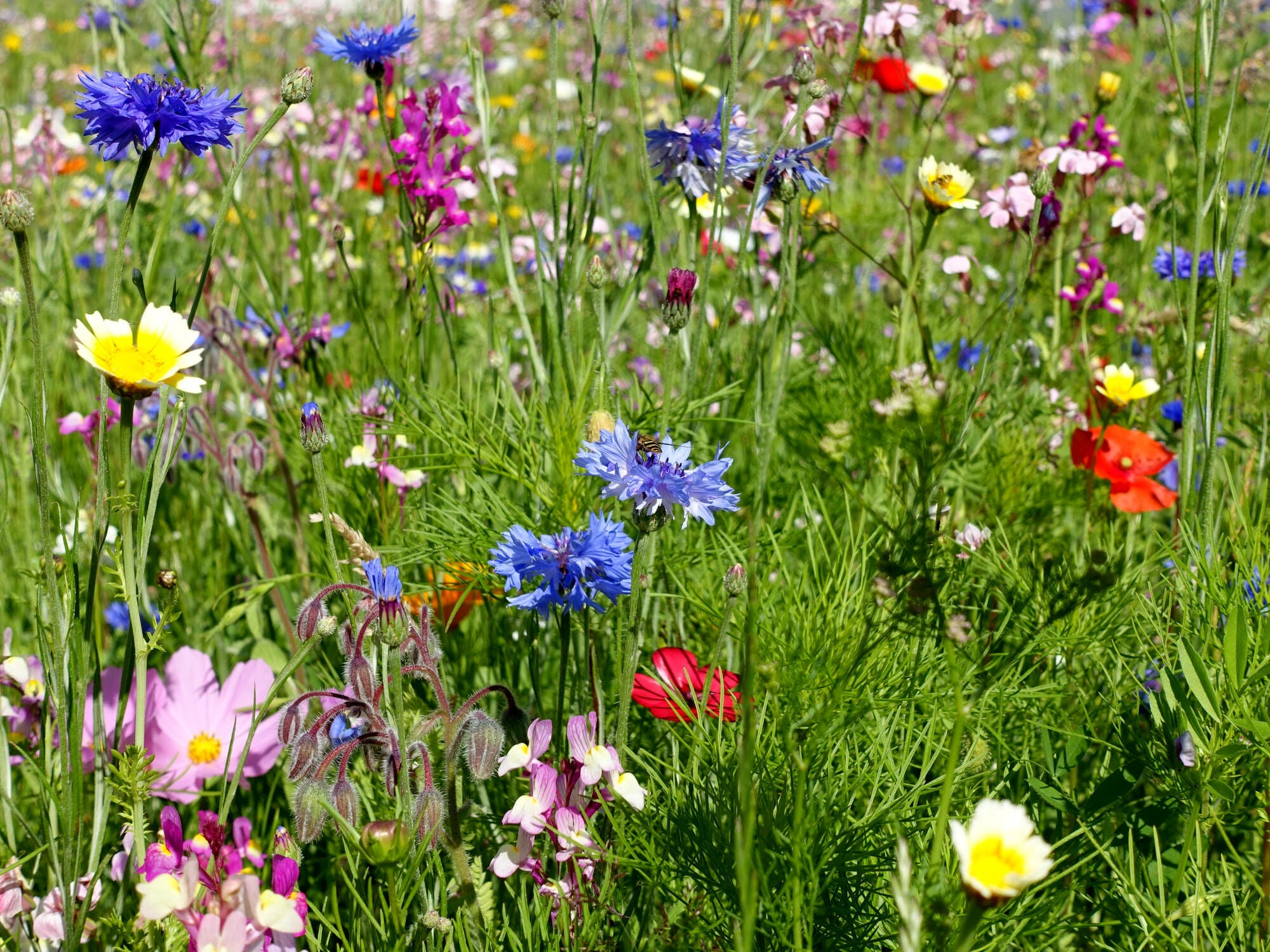 Dekarbonisierung | Nachhaltig Bauen | Klimaschutz | BauNetz Wissen