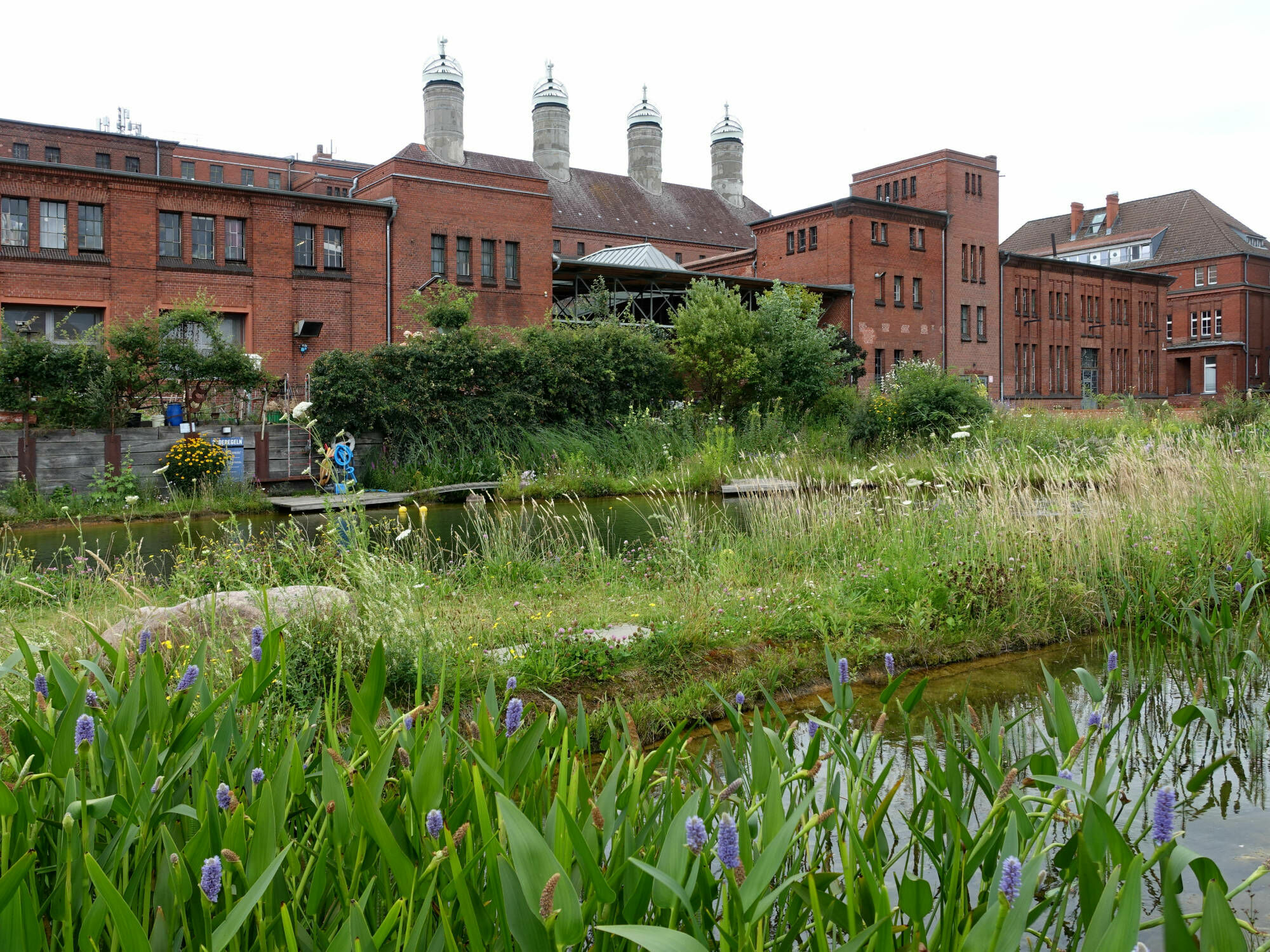 Wasseratlas 2025 | Wasserkreislauf | Publikationen/Planungshilfen ...