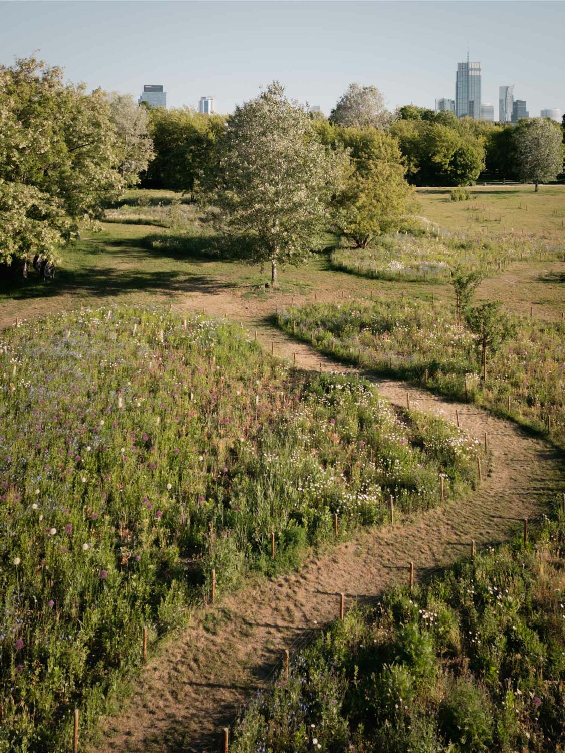 Pole Mokotowskie Park in Warschau | Stadt- und Dachbegrünung | Sport/Freizeit | BauNetz Wissen