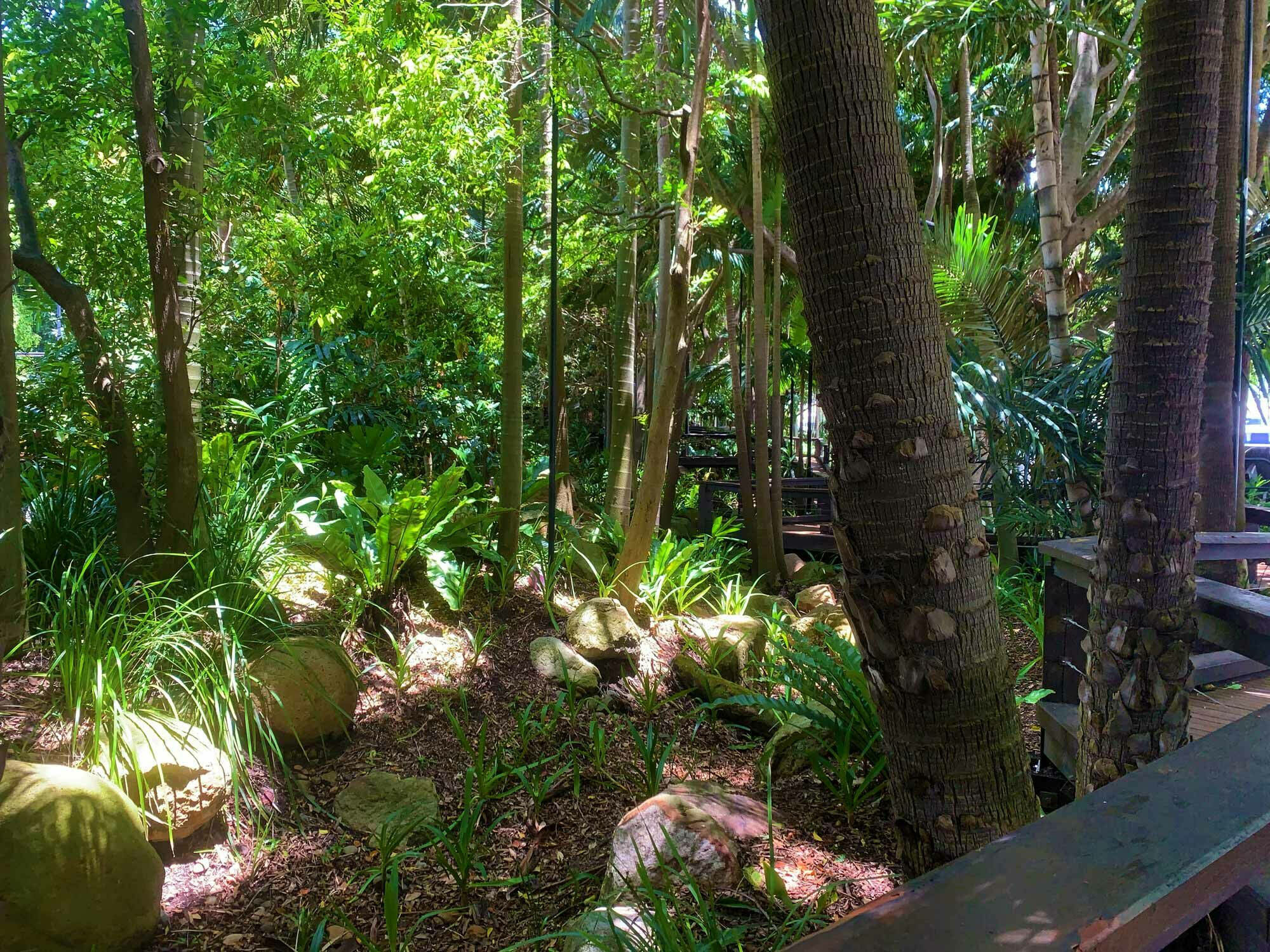 Rainforest Walk in Brisbane | Stadt- und Dachbegrünung | Urban Green ...