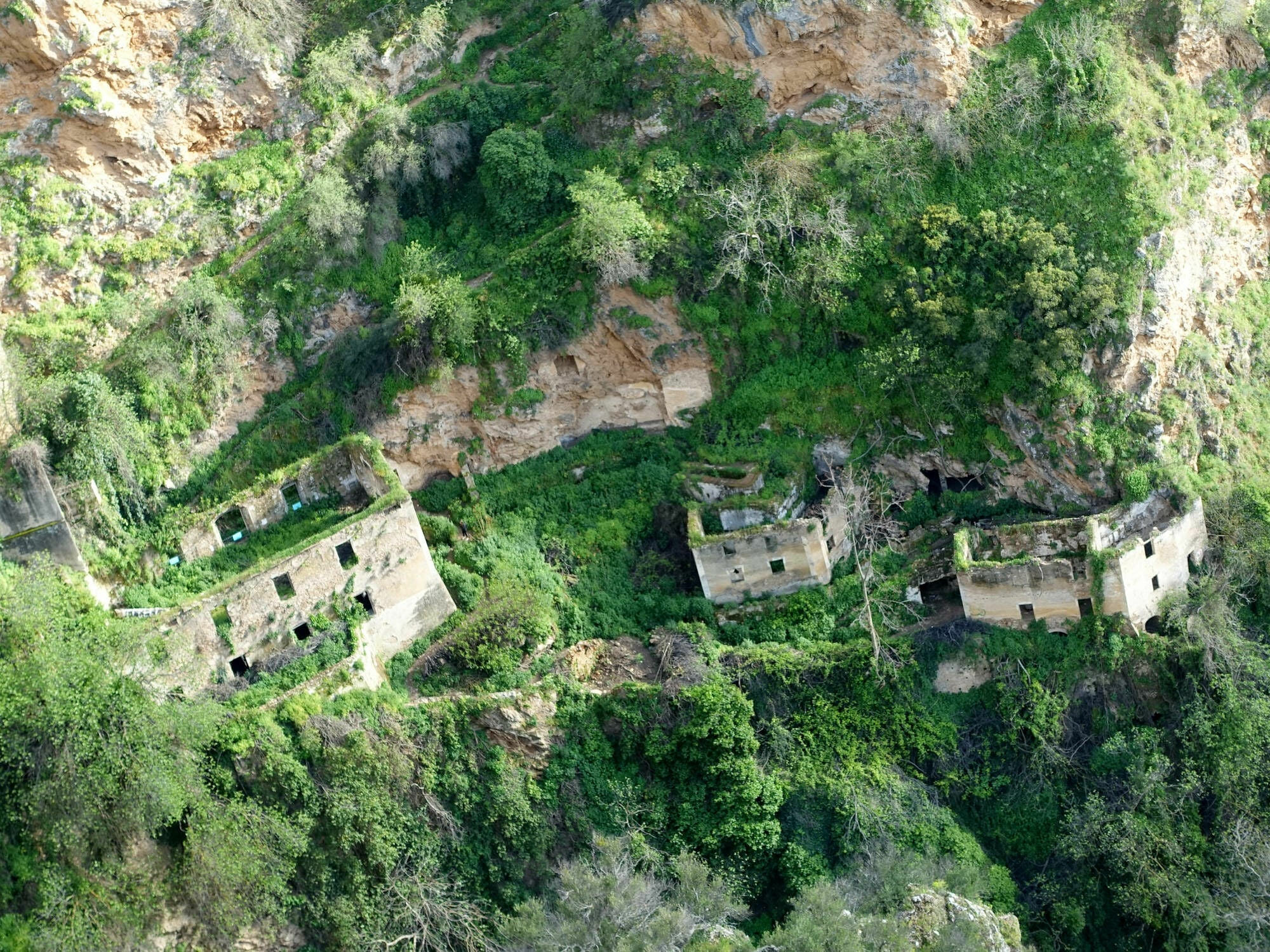 Ruderal- und Pioniervegetation | Stadt- und Dachbegrünung | Urban Green ...