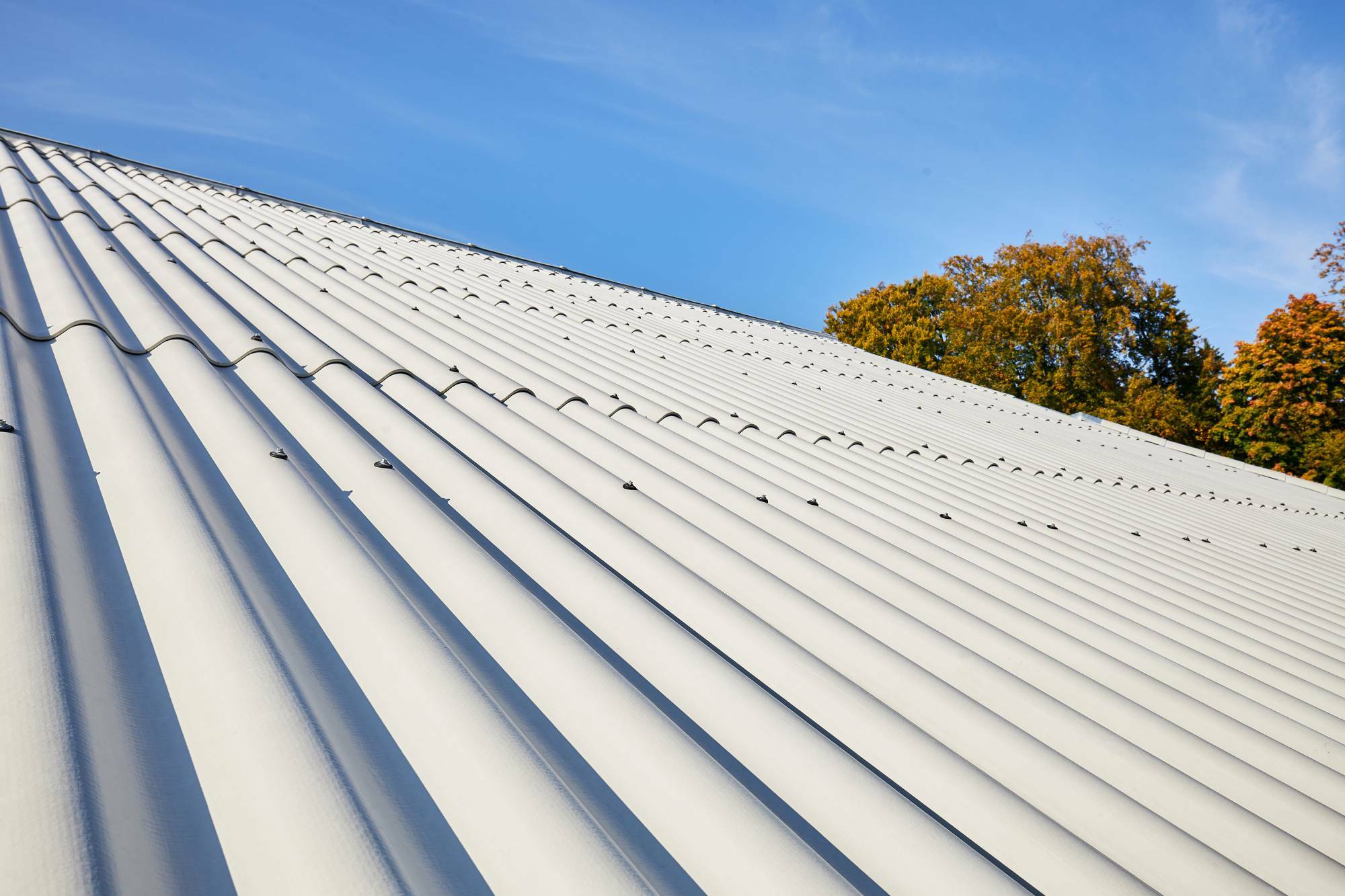 Neues Dach für Bootswerft Markus Glas am Starnberger See | Bauen im ...