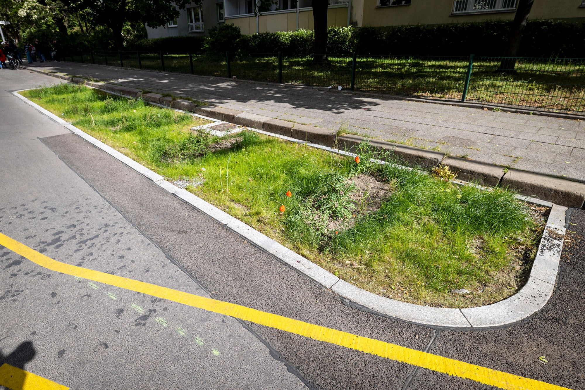 Grüne Gullys in Berlin-Mitte | Wasserkreislauf | News/Produkte ...