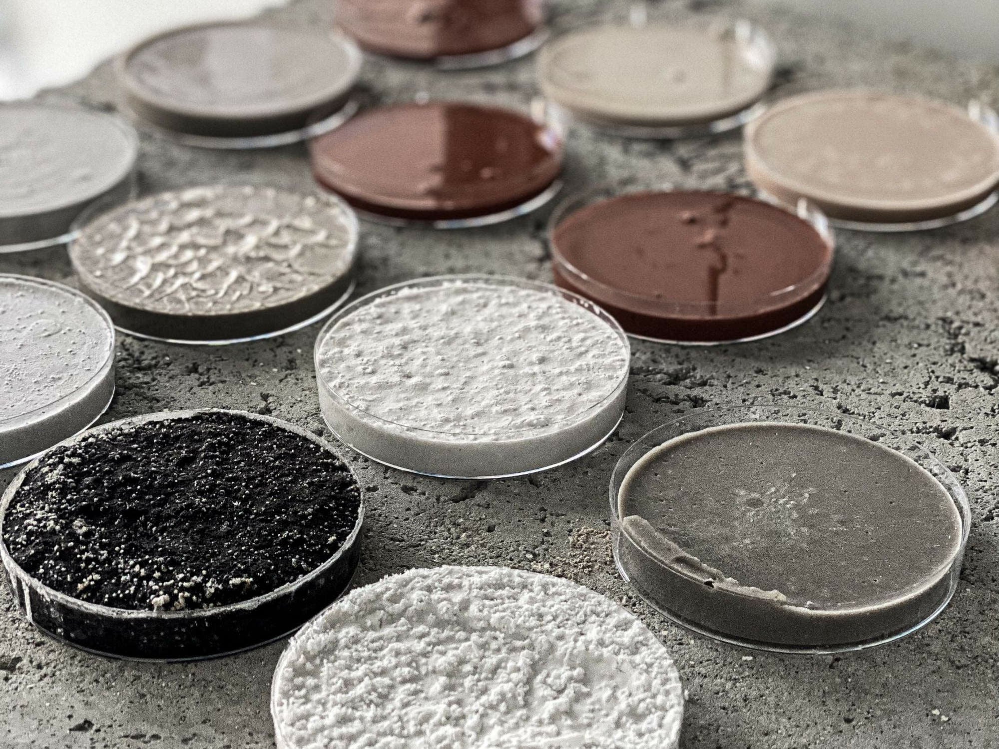 Entscheidung: Concrete Design Competition 2024/2025 | Beton ...