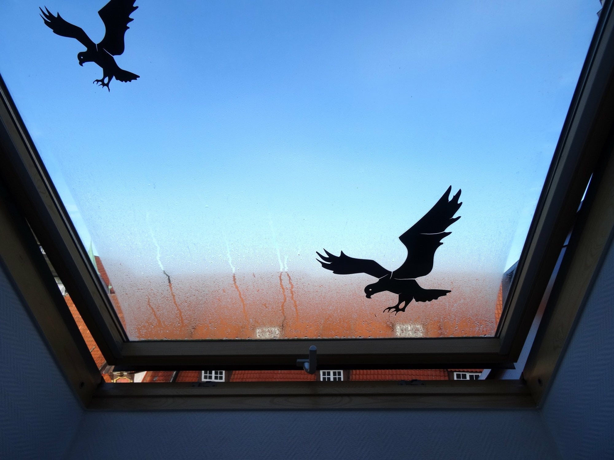 Kondensation | Gebäudetechnik | Glossar | Baunetz_Wissen