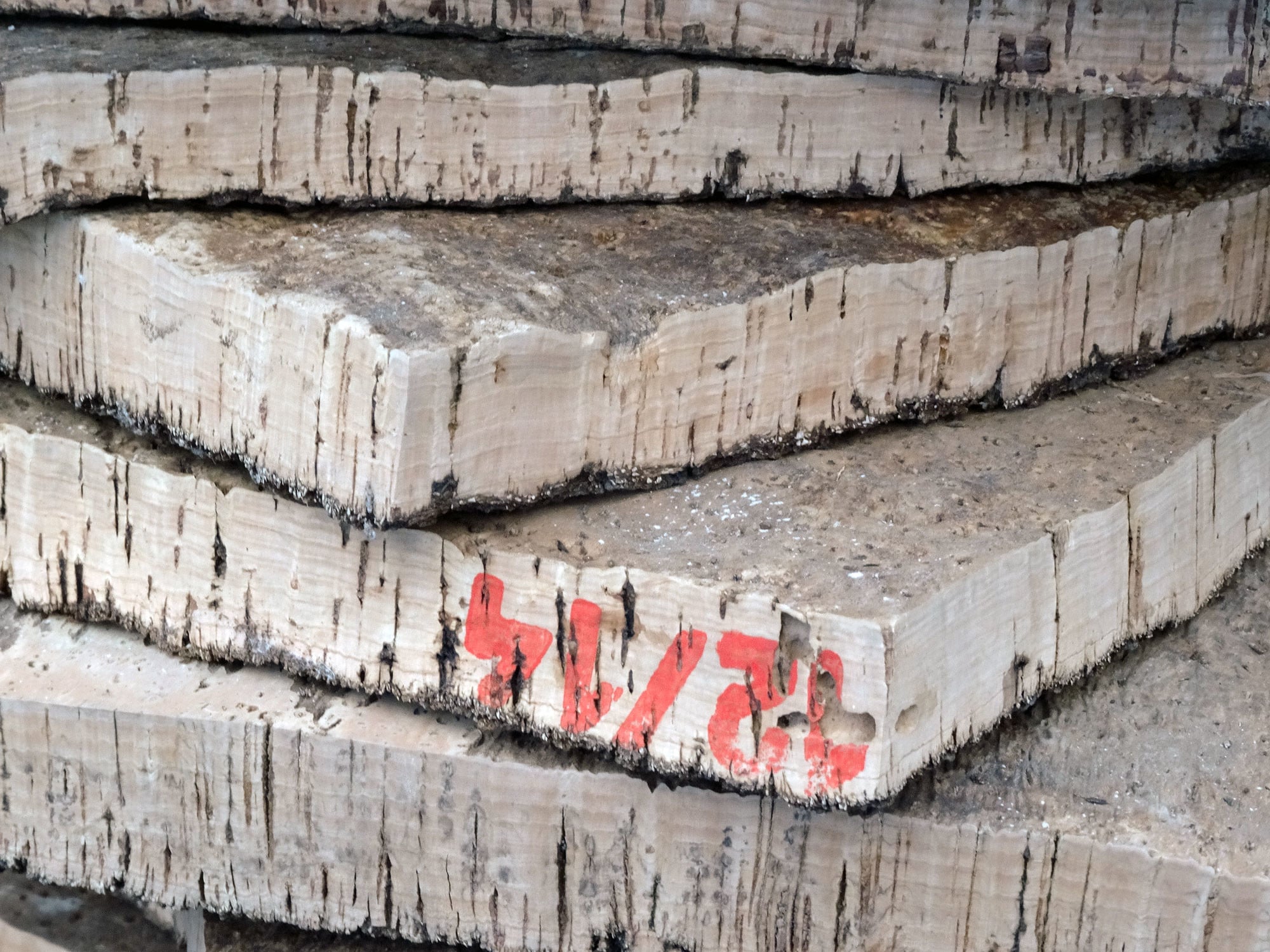 Kork | Boden | Glossar | BauNetz Wissen