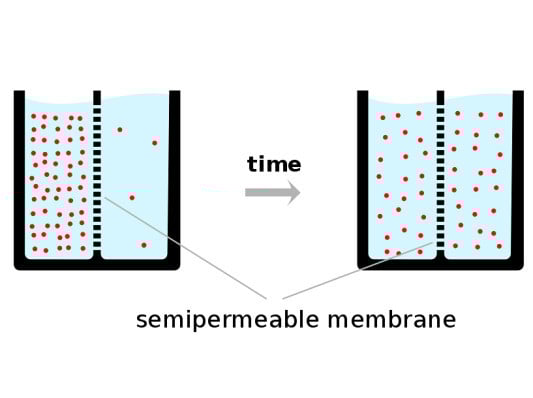 Diffusion | Flachdach | Glossar | BauNetz Wissen
