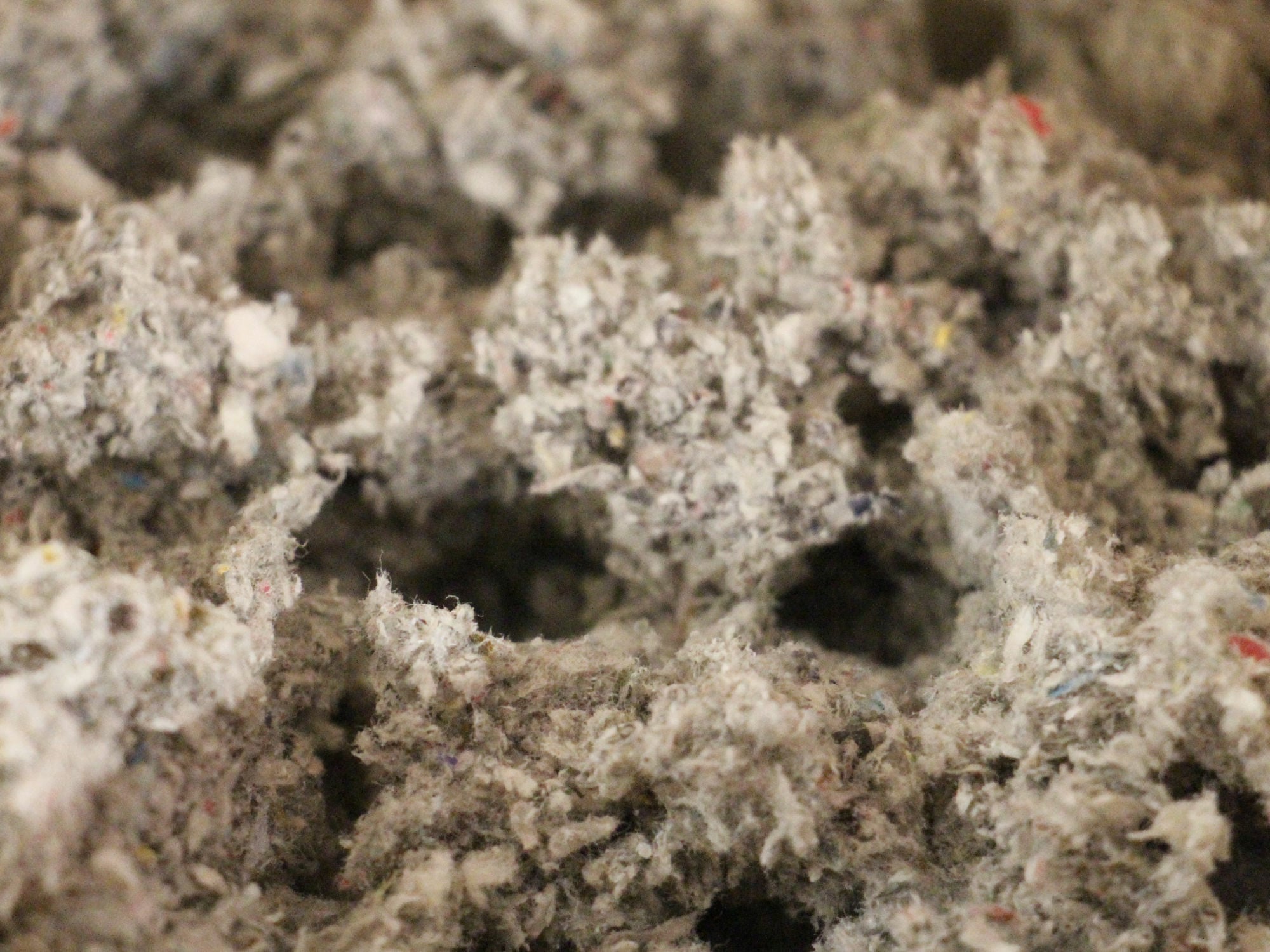 Zellulose | Dämmstoffe | Dämmstoffe | BauNetz Wissen