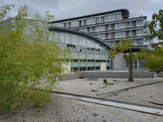 Arten: Dachbahnen aus Polymerbitumen | Flachdach | Bitumendachbahnen ...