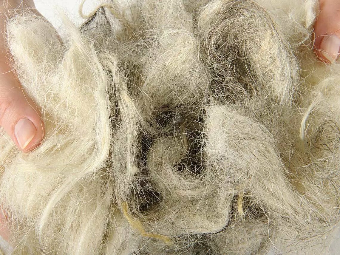 Tierische Fasern: Ziegenhaar | Boden | _Materialien/Fasern | BauNetz Wissen